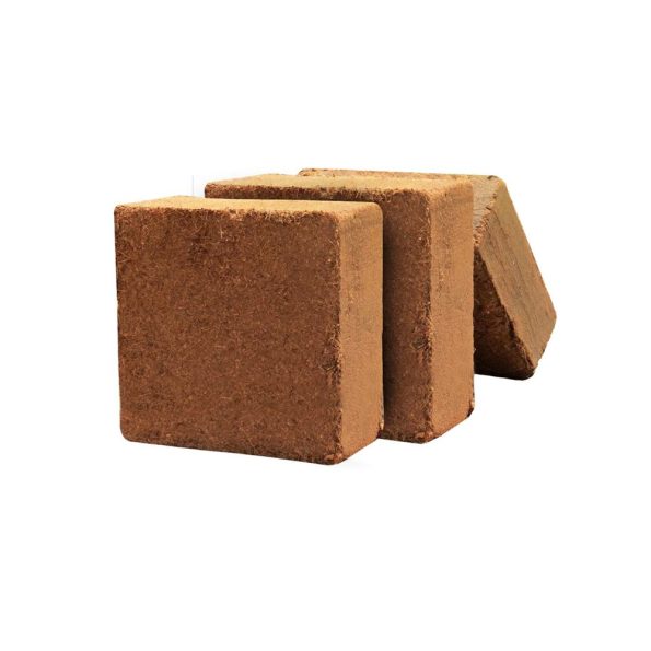 5kg coco peat block - Ceylon Evertop